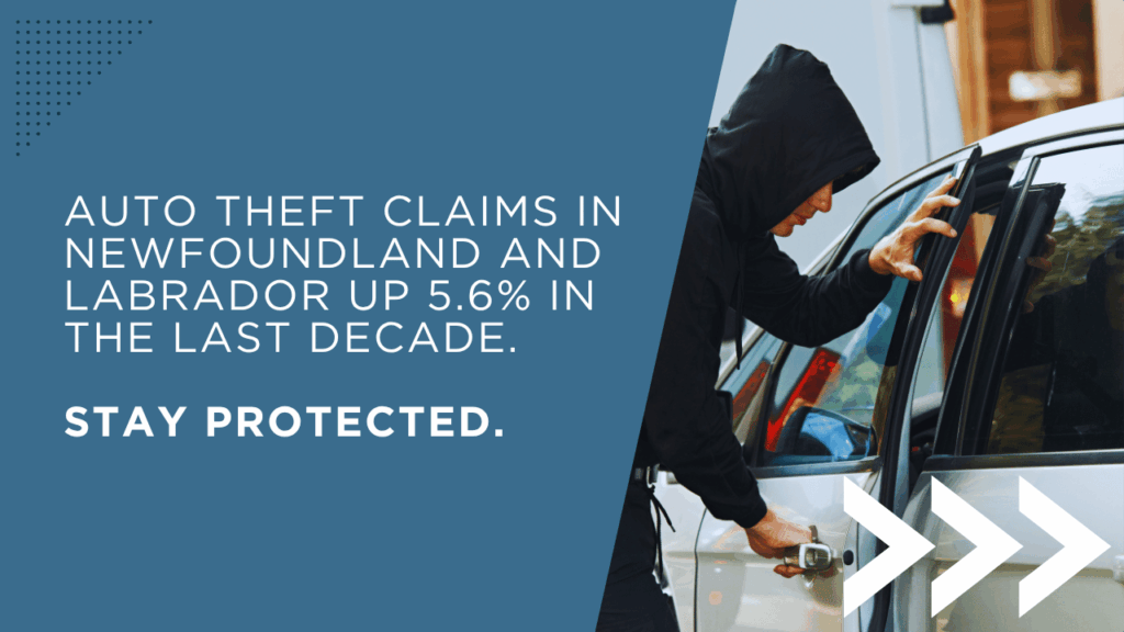 Vehicle Theft in Newfoundland: Insurance Tips to Protect Your Car ...